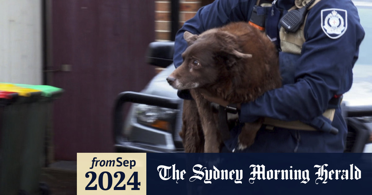 Sydney men charged with bestiality, child abuse offences